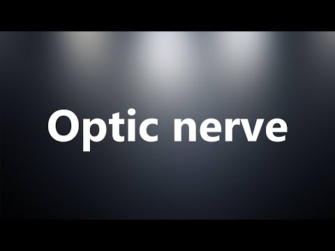 Optic nerve - Medical Meaning and Pronunciation