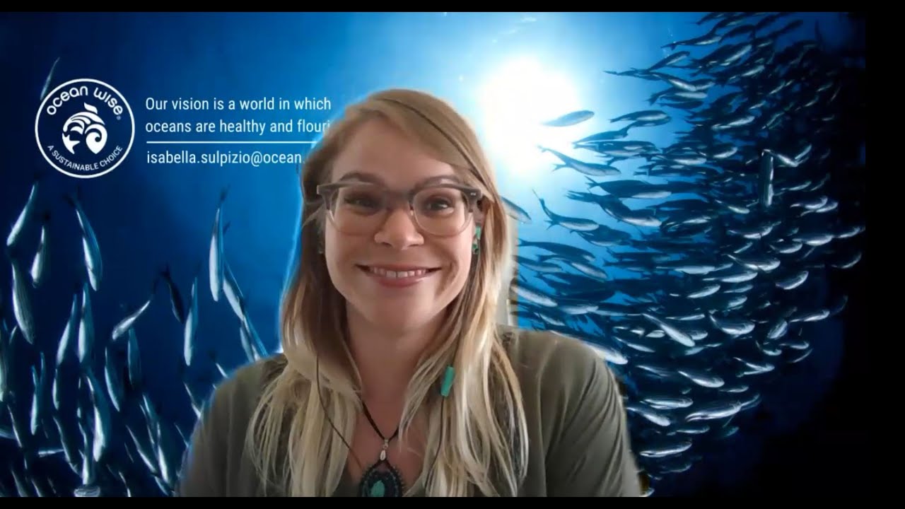 Ocean Wise Seafood Webinar: Navigating Solutions to Overfishing | June 8, 2021