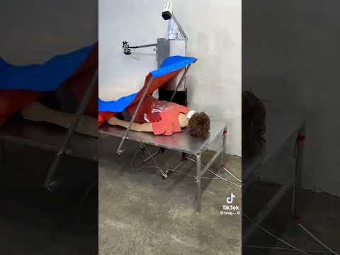 The design is very Human