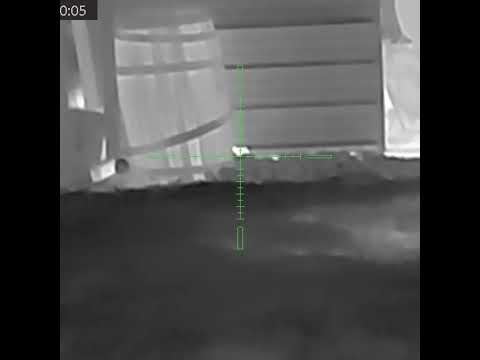 RAT BITES THE DUST USING THERMAL VISION #nightvision #thermalscope