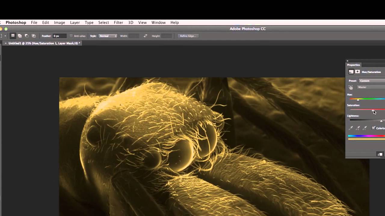 Scanning Electron Microscope SEM colorization from two detector images