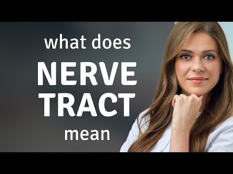 Nerve tract • what is NERVE TRACT meaning