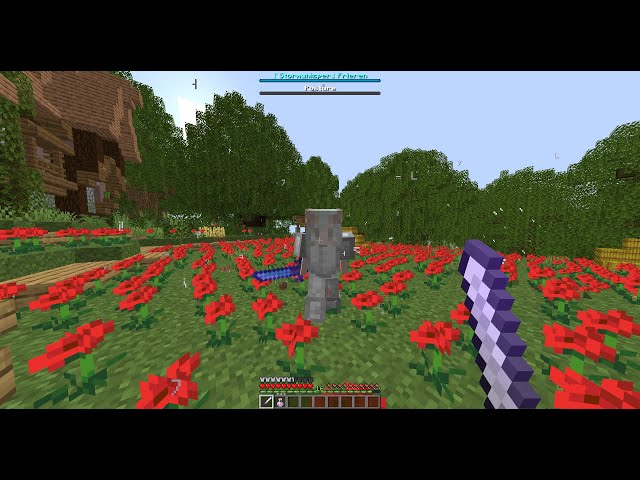 【Custom Boss Fight】Frieren The Stormwhisper Minecraft Map