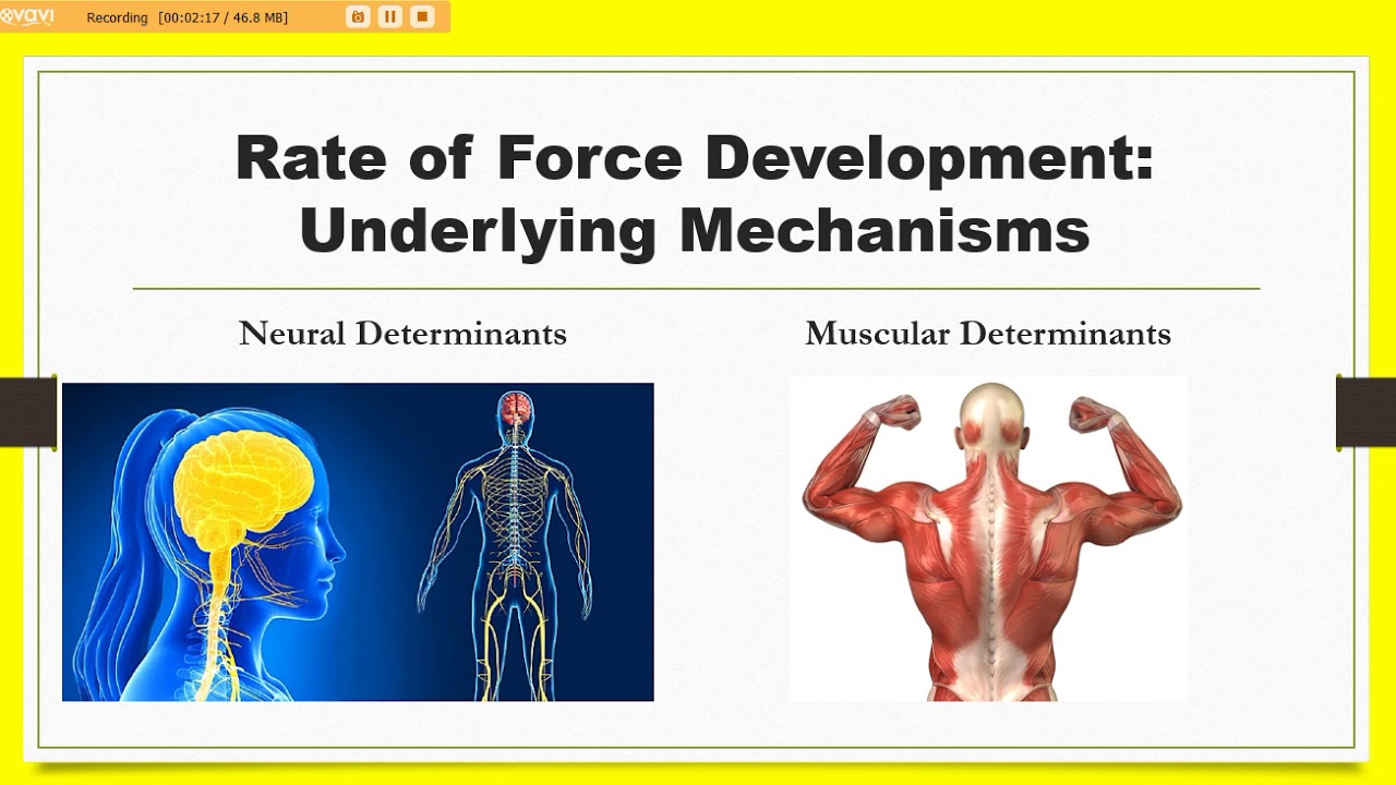 Rate of Force Development Micro Lesson