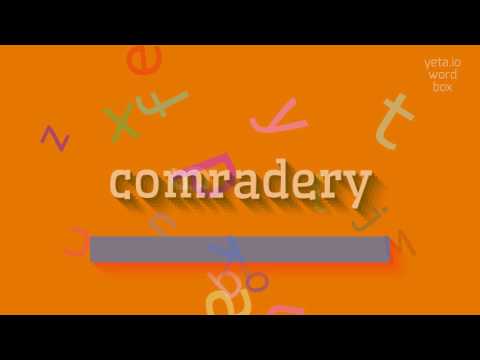 How to say "comradery"! (High Quality Voices)