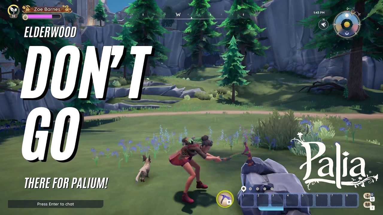 ULTIMATE PALIUM GUIDE | Elderwood