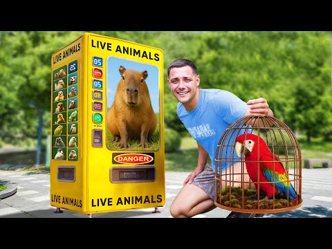 I Found a LIVE Animal Vending Machine… Part 3