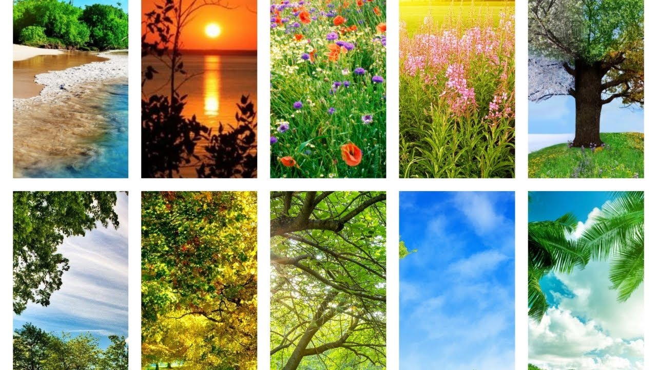 Summer season beautiful images @nature beautiful wallpapers