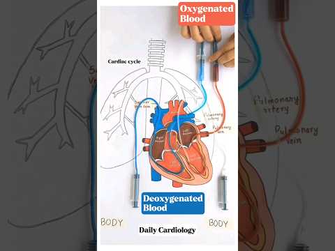 How blood exchange O2 for CO2 !! #heart #cardiology #bloodcirculation #shorts