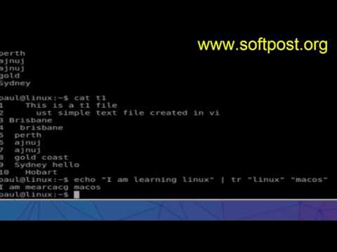 Difference between grep, cut, tr, sed and awk in Linux
