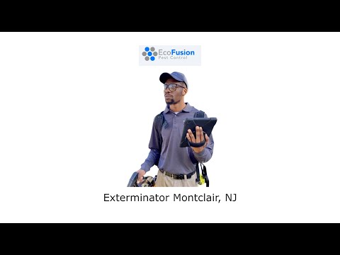 Exterminator Montclair, NJ - EcoFusion Pest Control