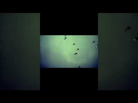 Cluster Munition