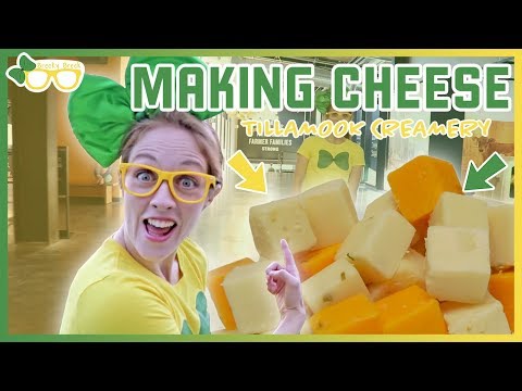 From Cows to Cheese | Brecky Breck Visits the Tillamook Creamery