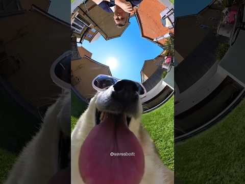 Popipo (behind the scenes) #cutenessoverload