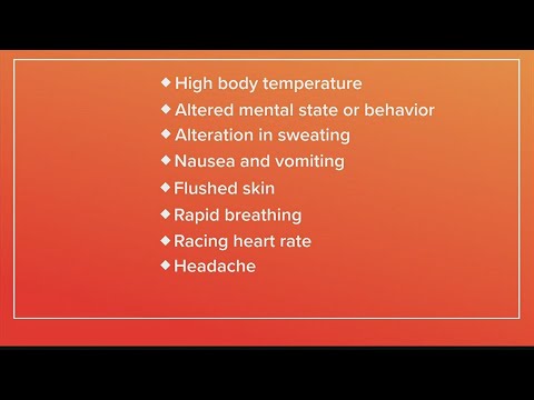 How to avoid heat-related illnesses this summer