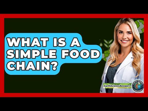 What Is A Simple Food Chain? - Earth Science Answers