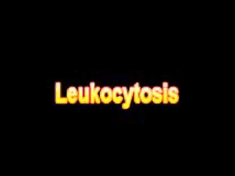 What Is The Definition Of Leukocytosis