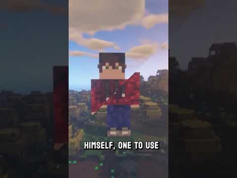Minecraft's Most Useful Skin