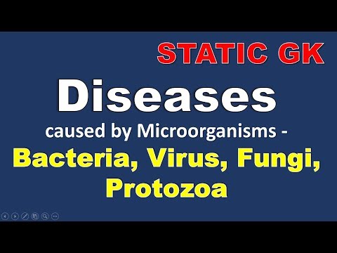 Disease Caused By Microorganisms (Bacteria Infection Detox) Video ...
