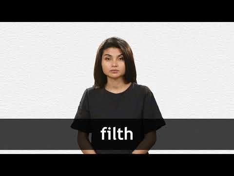 FILTH definition and meaning | Collins English Dictionary
