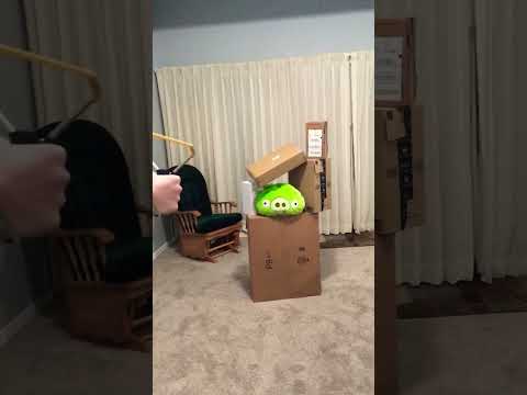 Angry Birds IRL #shorts #angrybirds #funny #slingshot #collapse #birds #piggy