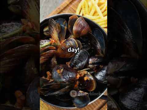 Belgium’s Best Kept Food Secrets, Europe food series #2