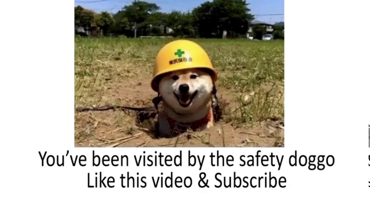 Safety doggo