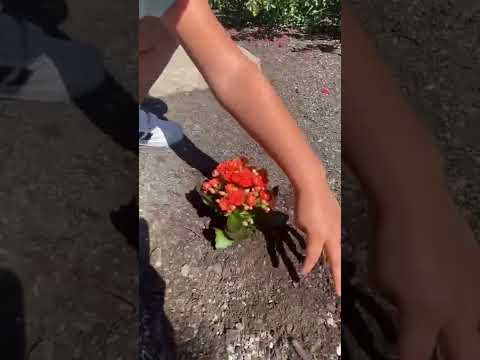 HAPPY NATIONAL EARTH DAY???????????? | Ana plants a flower to save the environment???? #shorts #earthday