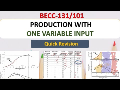 BECC 131/101 PRODUCTION WITH ONE VARIABLE INPUT