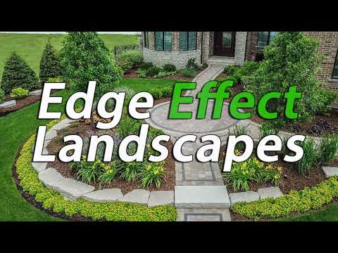 Edge Effect Landscapes