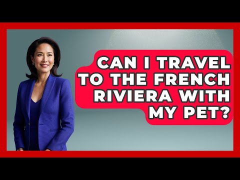Can I Travel To The French Riviera With My Pet? - France Fact File