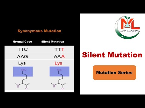 Silent Mutation | Reasons for silent mutation | Sens mutation | Synonymous Mutation