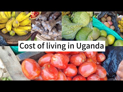Prices of Food in Uganda: How Much Does Food Really Cost?