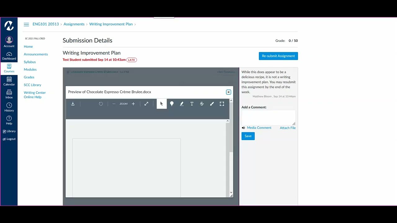 Viewing Assignment Feedback in Canvas