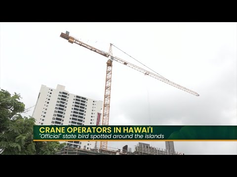 Crane Operator Training & Certification Course