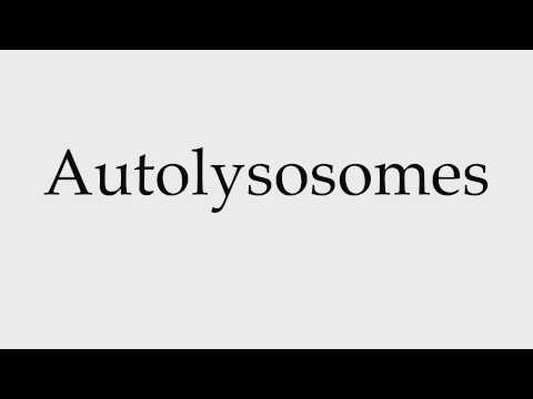 How to Pronounce Autolysosomes