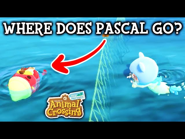 Where does Pascal go after interacting with players in Animal Crossing ...