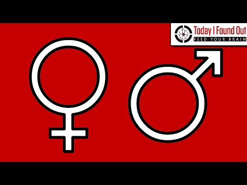 The Origin of the Male and Female Symbols