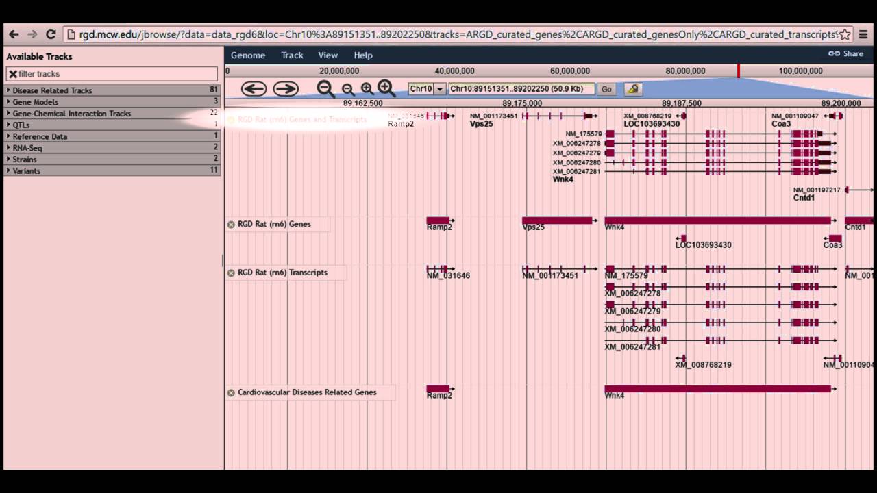 JBrowse Genome Browser Video Tutorial