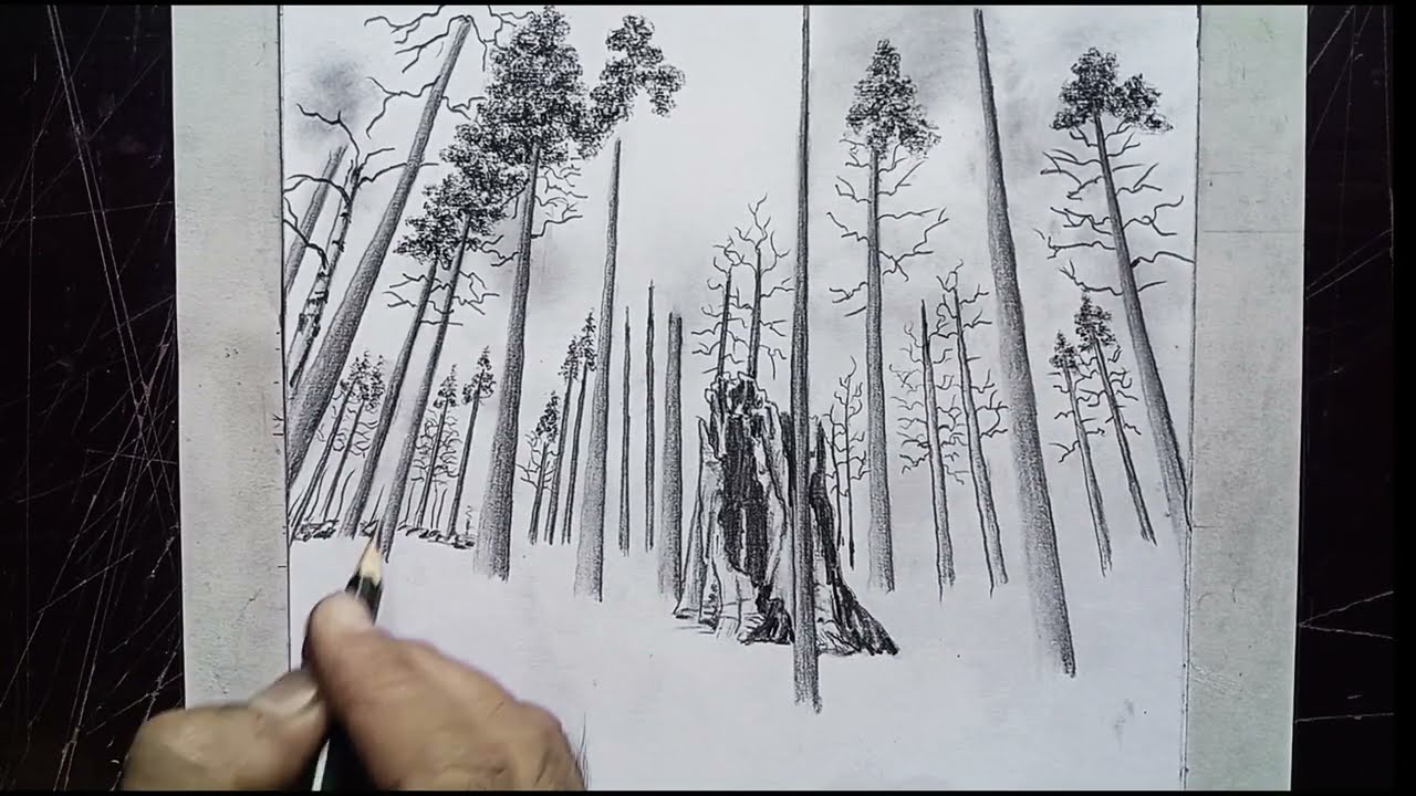 Pencil sketch a Realistic Forest Scenery 🌲 | Step-by-Step Nature Drawing 