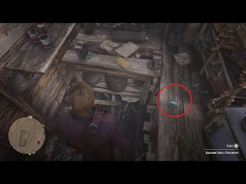 Abalone Shell Fragment - #23 Unique Collectibles - Red Dead Redemption II + Map Location