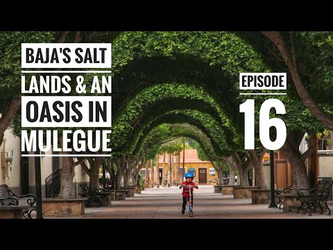 Ep#16: Van life family in Mexico - Baja's salt lands and our Oasis in Mulege