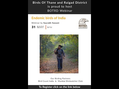 Endemic Birds of India