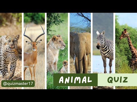 Beastly Truths or Furry Fibs? Join the Ultimate Animal Quiz Challenge! 🦁🔍