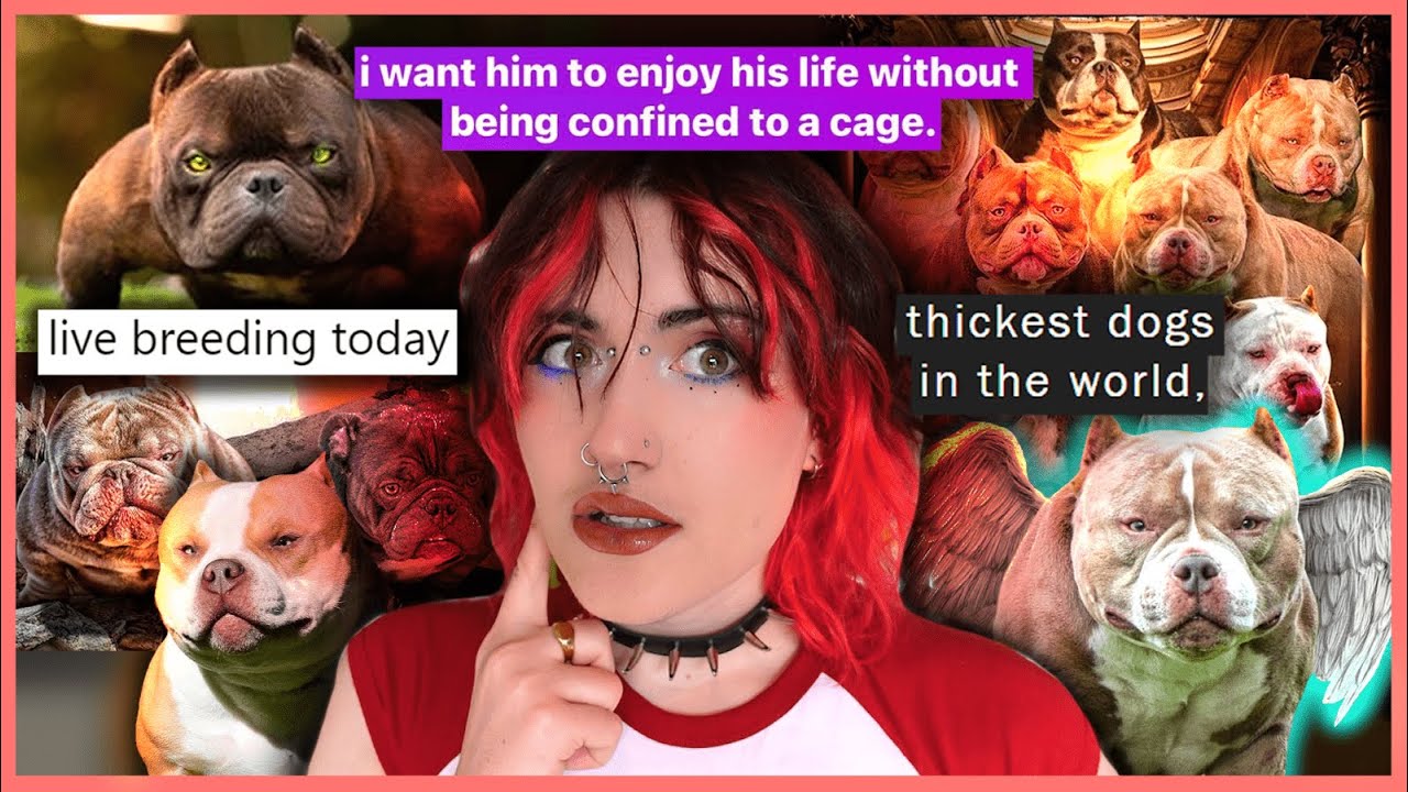 Instagram Dog Breeders Need To Stop