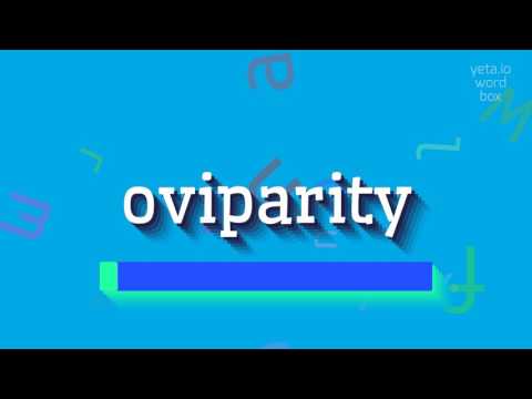 OVIPARITY - HOW TO PRONOUNCE IT? #oviparity