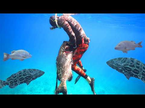 Insane Amount Of Fish Were EVERYWHERE! Primitive BAHAMA Spearfishing & Camping!
