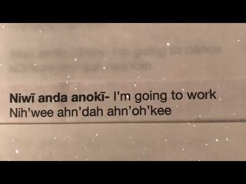 Saulteaux language