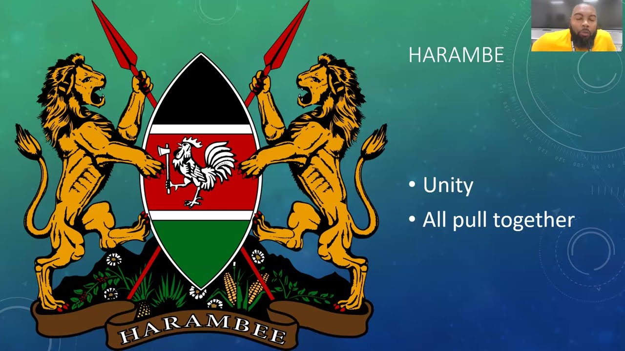 Understanding Harambee: A Call for Unity and Collective Action | Galaxy.ai