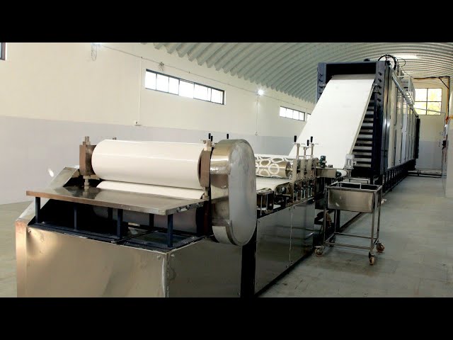 Papad Drying Machine - Papad Dryer Machine (Electric) Manufacturer from ...
